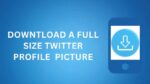 How to Download a Full-Size Twitter Profile Picture in 2025 - uCompares