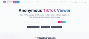 Powerful TikTok Story Viewer Tools You Need to Try (2026 Guide)